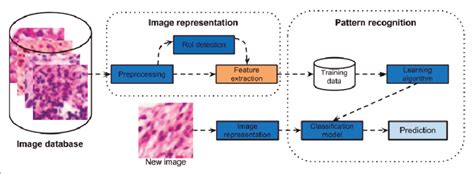 Typical Histopathology Automatic Image Analysis Workflow Download