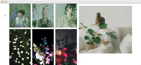 how to add image gallery in wordpress gutenberg editor[2022]