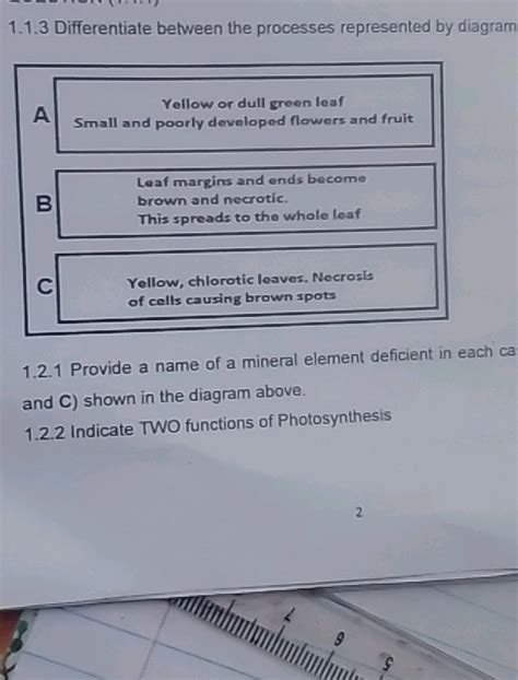 Differentiate Between The Processes Studyx