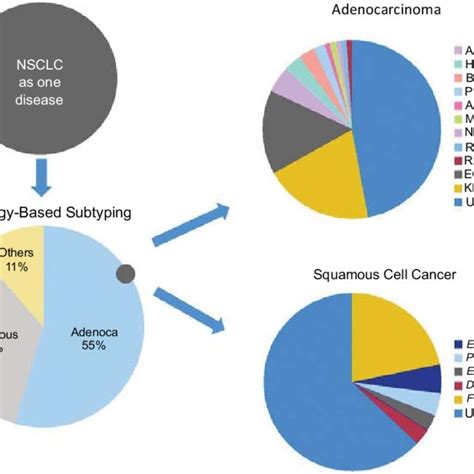Scleroderma Associated With Lung Cancer Download Scientific Diagram