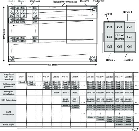 Cell Based Pipeline Flow Download Scientific Diagram