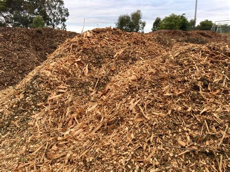 Mulching Services Melbourne Eucalyptus Tree Services