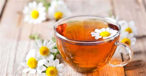 خواص چای بابونه؛ ۱۷ خاصیت درمانی از کاهش درد پریود تا درمان عفونت ستاره