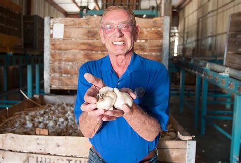 Garlic Titan Don Christopher Dies Gilroy Dispatch Gilroy California