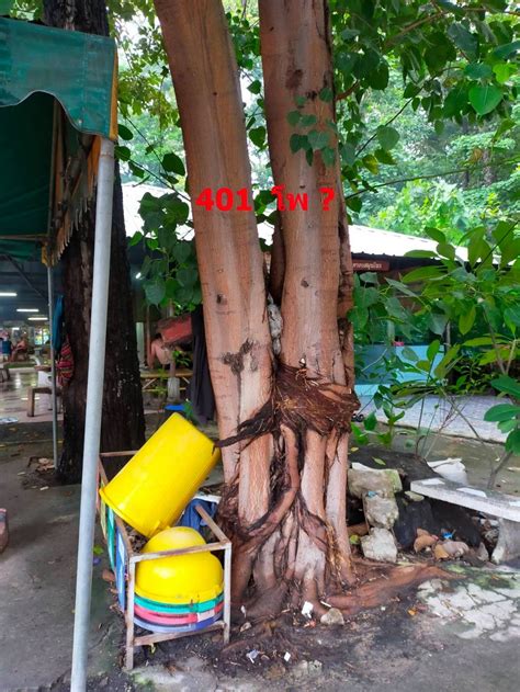 วัดผาสุการาม อำเภอวารินชำราบ จังหวัดอุบลราชธานี