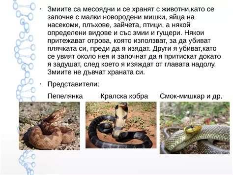 Многообразие на Разред Люспести Odp