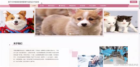 计算机毕设ssm基于ssm框架的宠物管理平台的设计与实现f31939源码数据库lwssm宠物管理系统的设计与开发 Csdn博客