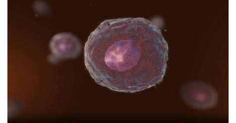 Circulating Tumor Cells To Help Stage Metastatic Breast Cancer New