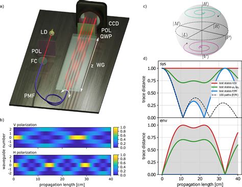 Tracing Information Flow From Open Quantum Systems Dziewior Laser And Photonics Reviews