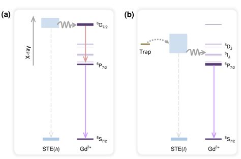 Schematic Illustrations Of X Ray Excited Luminescence And Persistent Download Scientific