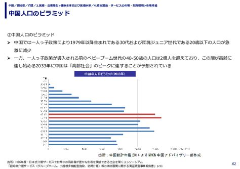 中国人口のピラミッド（h26年度・日本式介護サービスで世界中の高齢者が豊かな生活を実感できる社会を築くコンソーシアム 「認知症介護サービス
