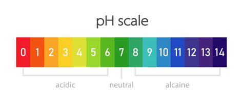 How To Measure And Adjust PH Levels In Soil With Without A Kit The Spicy Trio