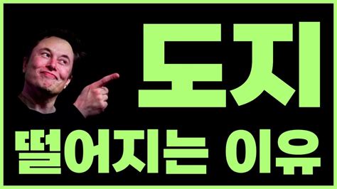 도지 비트코인 지금의 하락은 더 큰 상승일 만들줄겁니다 도지코인전망 비트코인 도지 도지코인 Youtube