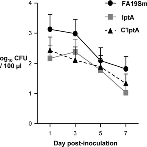 Wild Type And Lpta Mutant Gonococci Colonize Mice Equally Well During