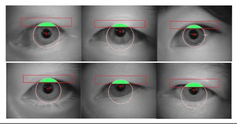 The Selected Results Of AIC Where The White Red Circles Are The Download Scientific Diagram
