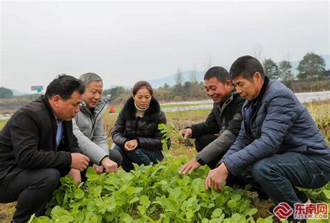 南平武夷山科技人员深入田间地头传授农业技术 中国福建三农网