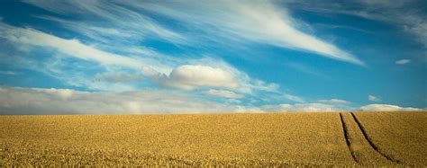 Hd Wallpaper Beautiful Greenland White Sky And Green Grass Field