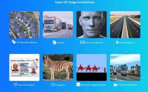 Do Data Image Video Tagging And Labeling Like Mturk Appen By Alexwahid Fiverr
