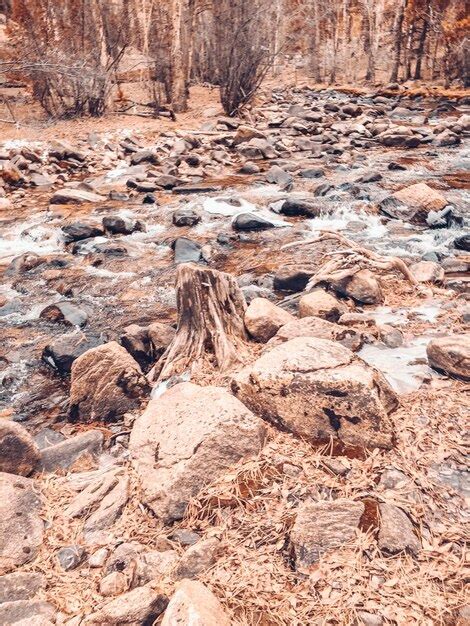 Premium Photo Creek Flowing