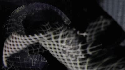 Prostheticknowledge Tumblr Com Tumbex