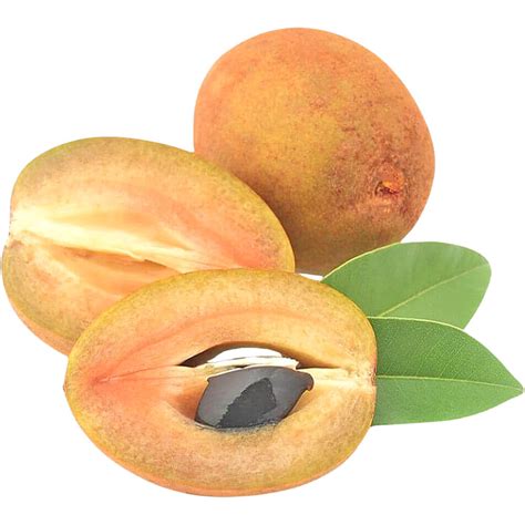 Chikoo Sapodilla Fresh Leaf Uae