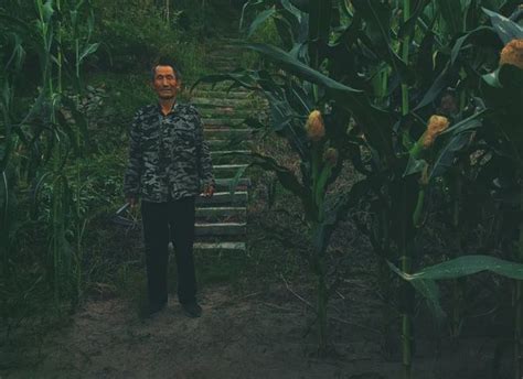 Alexander Seuz On Instagram Human Nature Interface Food Part Ii