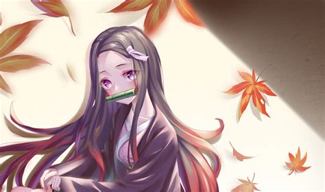 Hình Nezuko Những Bức ảnh đẹp Nhất Về Cô Nàng Nezuko Nhấp để Xem Ngay
