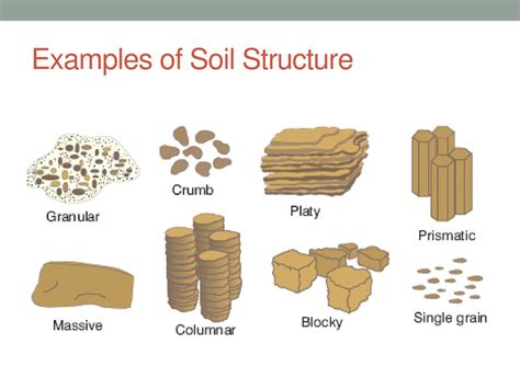 Massive Soil Structure