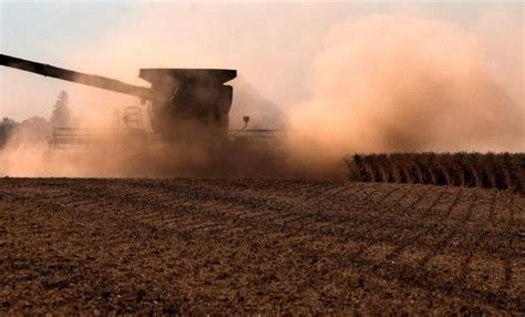 Cosecha De Soja Argentina Sería De 54 M De Tn Agrofy News