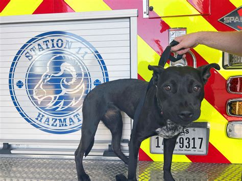Waco Fire Department Wacotxfire Twitter