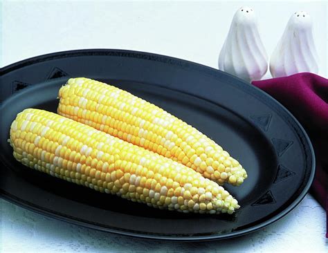 Ambrosia Sweet Corn (Not Treated) | Seedway