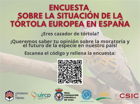 Un estudio analizará la situación de la tórtola europea en España