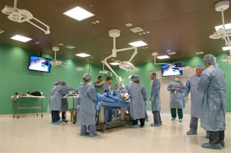 For Paramedics Cadaver Training A Rare Welcome Opportunity Las