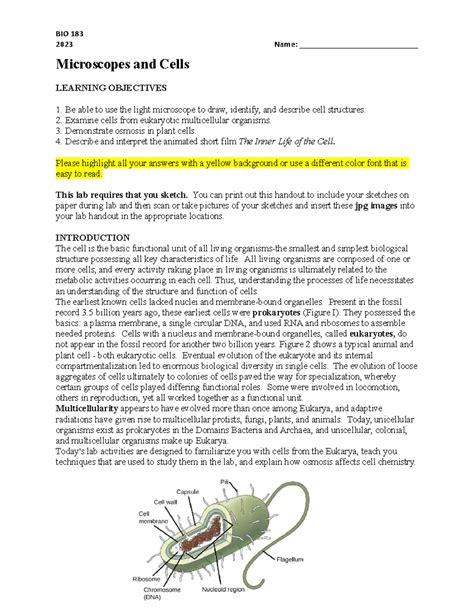 Unit 2 Lab 1 Unit 2 Lab 1 2023 Name