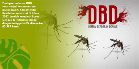 Kasus DBD Meningkat Di Indonesia Kemenkes Galakkan Gerakan Rumah Jumantik