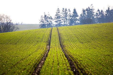 Bayer Crop Science 11월 11일은 농업인의 날입니다 농업은 우리의 소중한 먹거리를 생산할 뿐 아니라 첨단 기술을 통해 새로운 산업으로 진화해나가고