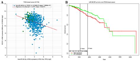 Tcga Bc Data Analysis A Scatter Plot Showing The Negative