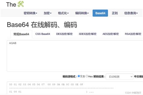 rsa基本原理及常见攻击方法 rsa共模攻击 csdn博客