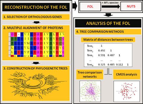 The Bioinformatic Pipeline For The Analysis Of The Forest Of Life Fol Download Scientific