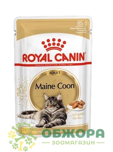 Royal Canin Maine Coon Adult вологий корм для котів породи Мейн-кун ...