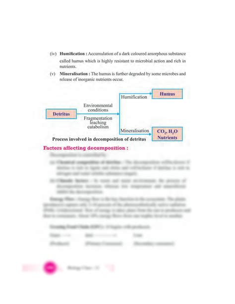 Solution Class12 Biology Chapter 14 Ecosystem Studypool