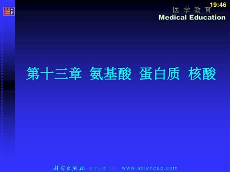 《有机化学第二版》第13章：氨基酸、蛋白质、核酸资料word文档在线阅读与下载无忧文档