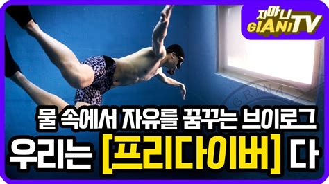 물 속의 자유를 갈망하는 나 우리는 프리다이버 다 Youtube
