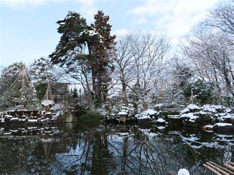 雪が降ったのでもみじの公園へ歩く いままでてにいれたもの これからほしいもの 楽天ブログ