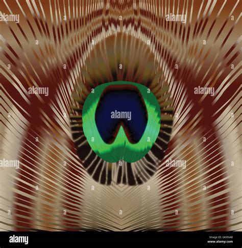 Peacock Feather Eye Stock Vector Image And Art Alamy