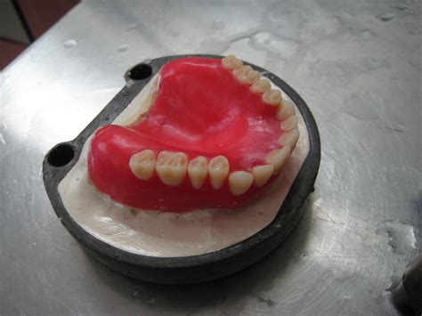 Un Frère Est Un Ami Donné Par La Nature La Fabrication Dun Dentier