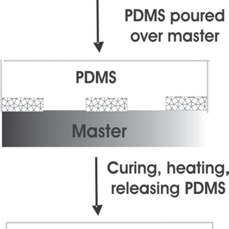 Schematic Representation Of Pdms Replica Fabrication Download Scientific Diagram