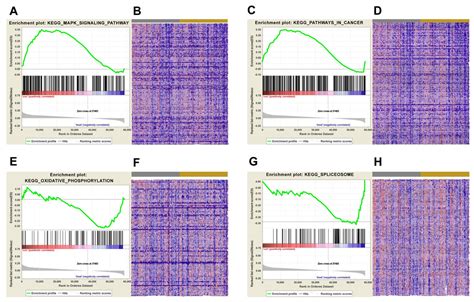 A Novel Long Non Coding Rna Ac0124564 As A Valuable And Independent Prognostic Biomarker Of
