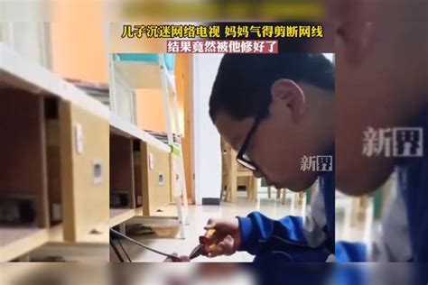 儿子沉迷网络电视，妈妈气的剪断网线，结果竟然被他修好了！结果妈妈网线