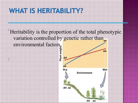 Heritability Its Type And Estimation Of It